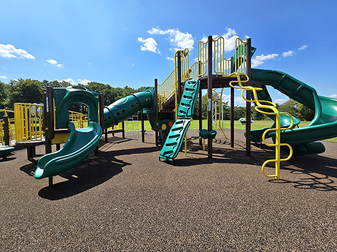 The playground stands ready for tiny explorers, a colorful basecamp where future naturalists can burn energy before hitting the real trails.
