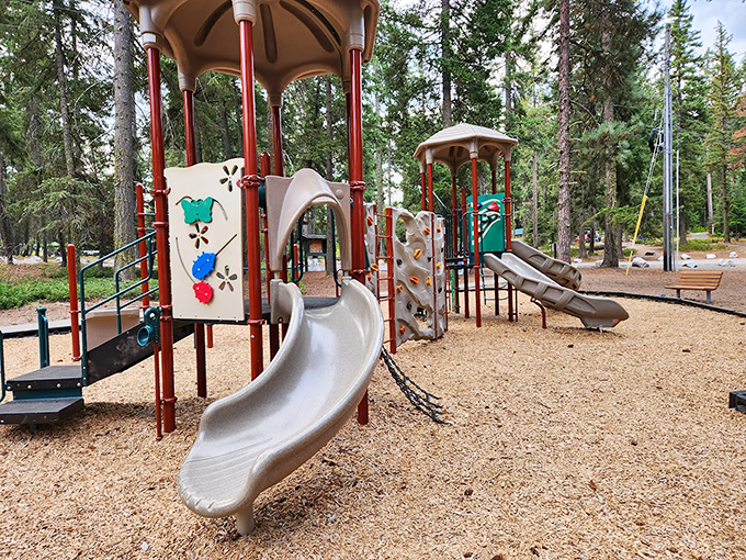 Slides and climbing structures where pine-scented memories are made. Lake Wenatchee's playground proves that "screen time" is best when it refers to the mesh between you and nature.