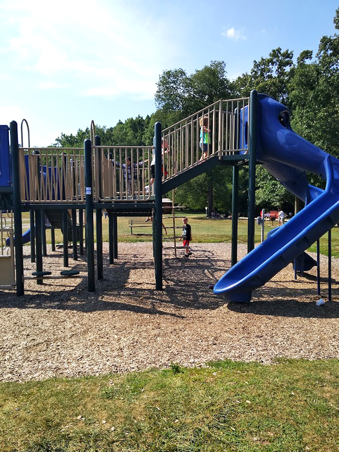 Childhood joy engineered in primary colors. This playground promises the kind of offline fun that creates memories no video game can match.