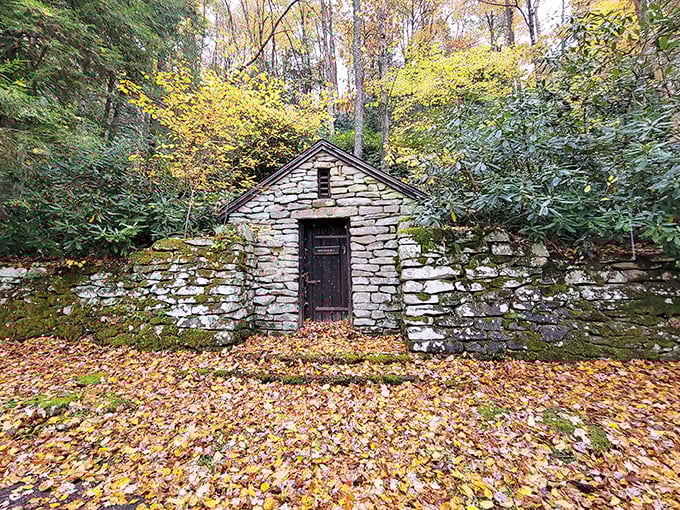This stone sentinel has weathered decades of mountain seasons, its moss-trimmed walls telling stories of Appalachian resilience.