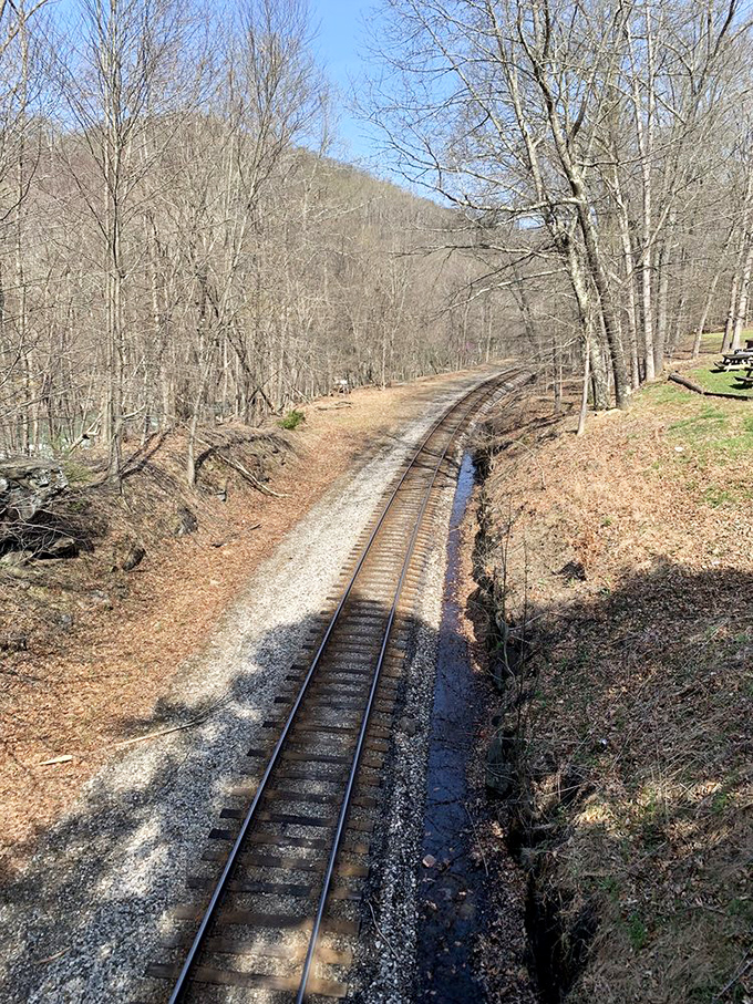 These railroad tracks don't just cut through the forest&mdash;they tell the story of how industry and nature have danced together for generations.