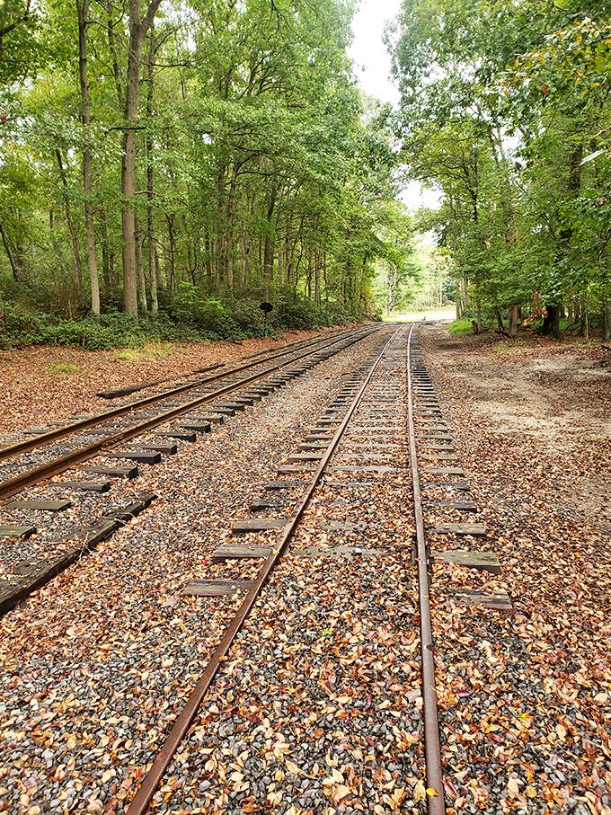 Railroad tracks cutting through the forest offer perspective and possibility. The journey or the destination? At Allaire, you get both.