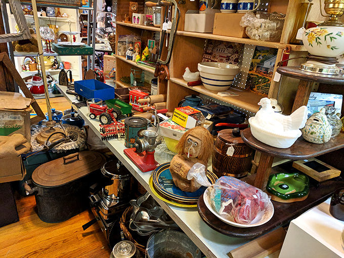 Every shelf holds a chaotic democracy of objects&mdash;milk glass chickens voting with toy tractors, coconut heads debating with ceramic bowls.