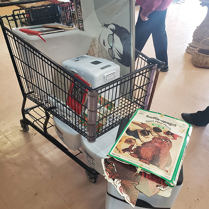 The thrill of the hunt captured in a shopping cart. That vintage Snuffleupagus book might be someone's childhood memory waiting to be rediscovered.