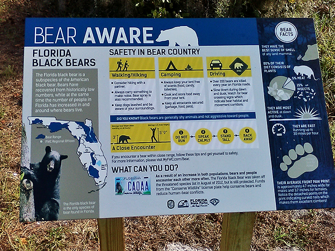 Bear safety information that basically translates to: "Yes, Florida has bears. No, they don't want your selfie."