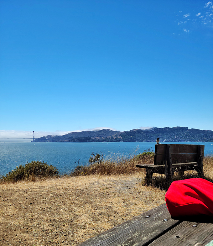 The best seat in the house doesn't require reservations—just timing and appreciation for a view that makes the Golden Gate look like it was positioned just for you.