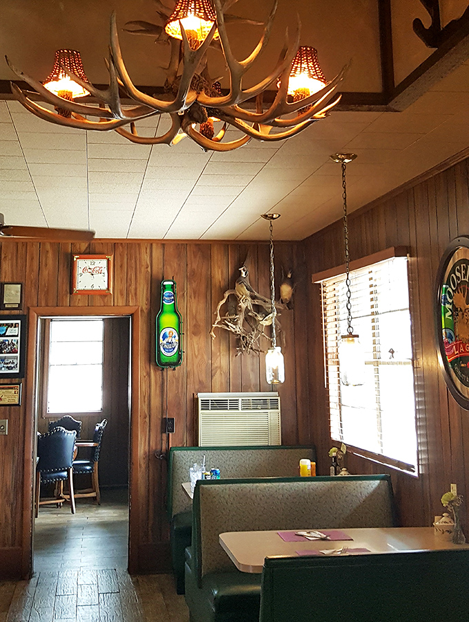 Comfortable seating where regulars solve world problems between bites of perfectly cooked beef.