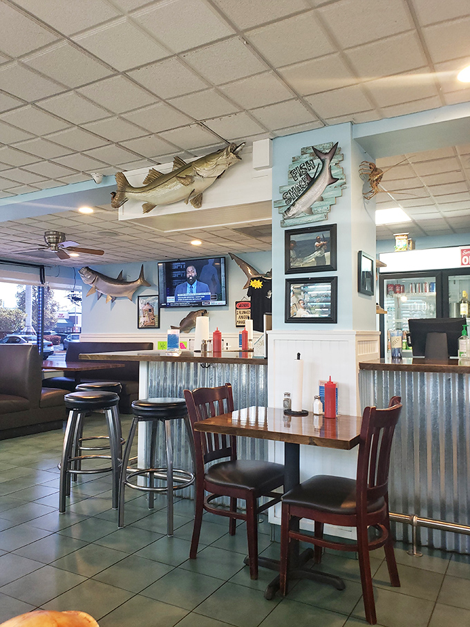 Mounted fish watching over diners like aquatic guardian angels, ensuring nobody orders a well-done grouper or commits other seafood sins.
