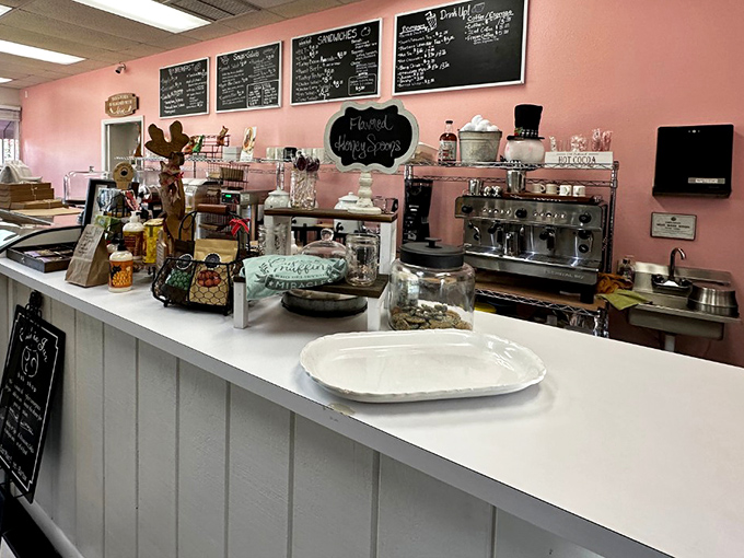 Behind this counter, magic happens daily. Pink walls and espresso machines: the laboratory where happiness is brewed.