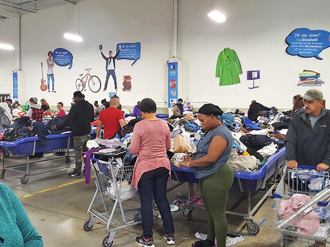 The diverse community of treasure hunters, each with their own quest. Veterans teach newcomers the unspoken rules of bin etiquette.