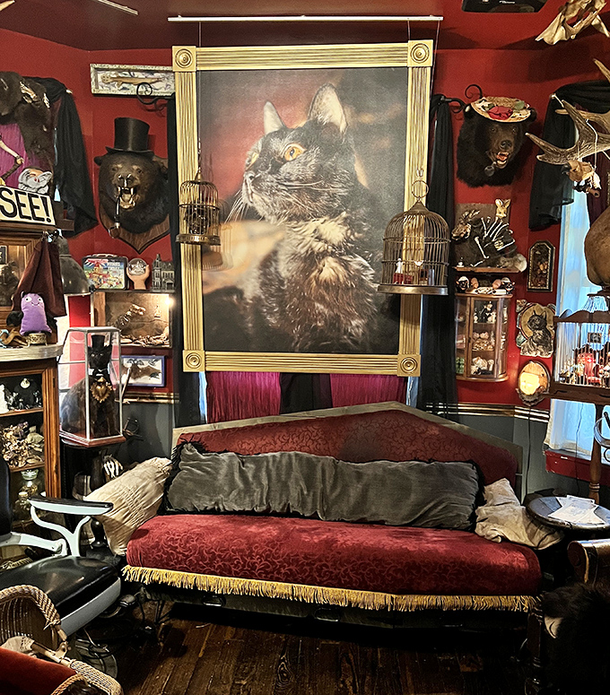 The parlor features a regal portrait of a cat overlooking a Victorian-style sofa, creating an atmosphere of faded elegance.