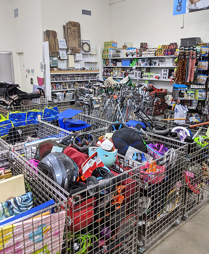 Organized chaos of childhood joy&mdash;bikes, scooters, and toys galore, all waiting for second acts in the backyard theater of imagination.