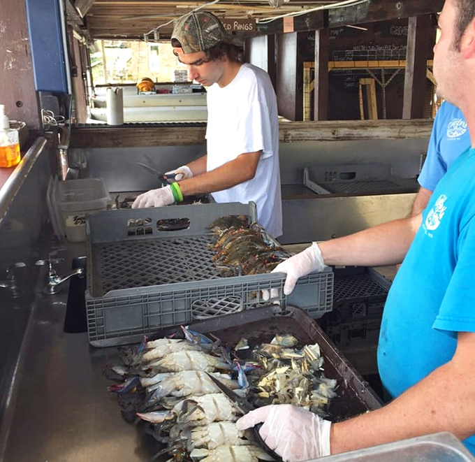 The kitchen staff handling fresh catch with the reverence of jewelers. At Cantler's, seafood goes from boat to plate with minimal interference.