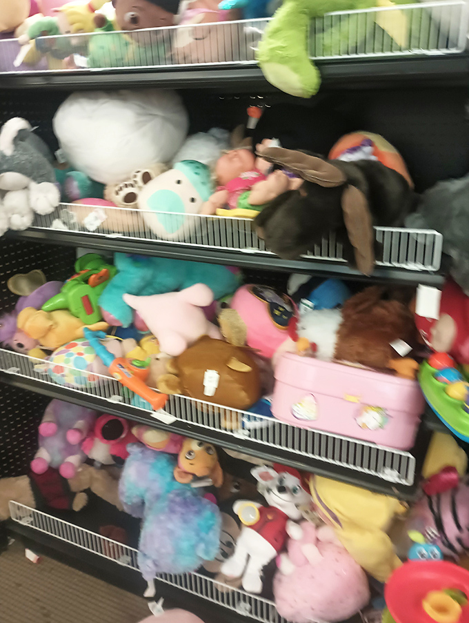 Stuffed animal adoption center. These plush pals have been gently loved and are ready for new homes where they can collect more hugs and memories.
