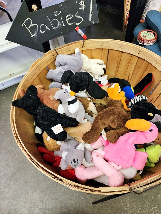 A bushel basket of plush companions waiting for their forever homes&mdash;each one promising unconditional love without the vet bills.