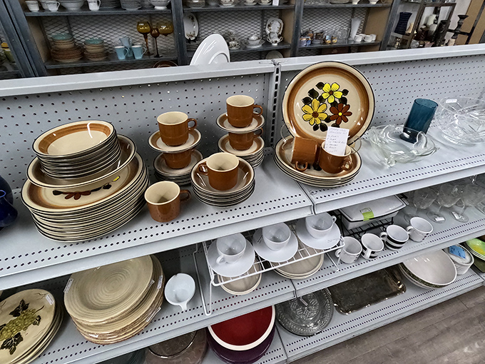 Vintage dishware that would make your grandmother swoon. This retro dinnerware collection brings mid-century charm to modern tables without the antique store markup.