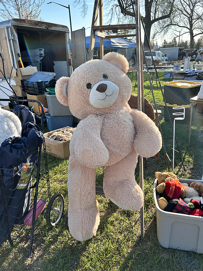 "Beary" impressive find! This gentle giant waits patiently among the treasures, ready to become someone's oversized cuddle companion.