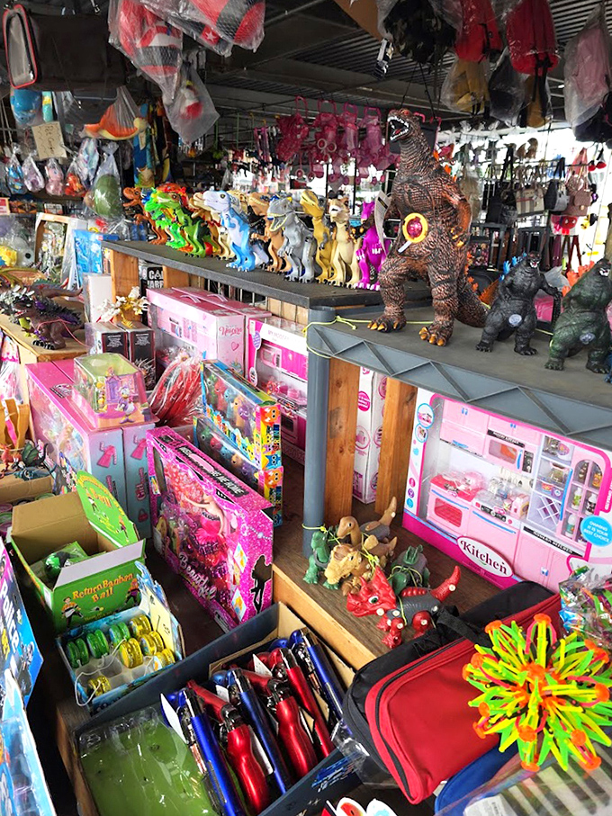 Toy wonderland where Godzilla guards dollhouses and childhood nostalgia comes with no batteries required. Imagination sold separately!