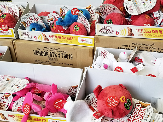 Toys galore transform grown adults into kids again, because who doesn't need a stress-relief squeeze toy shaped like breakfast food?