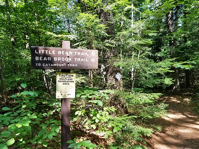 Trail markers point the way to adventure, leaving you with that delicious dilemma: Little Bear or Bear Brook? Either way, you're winning.