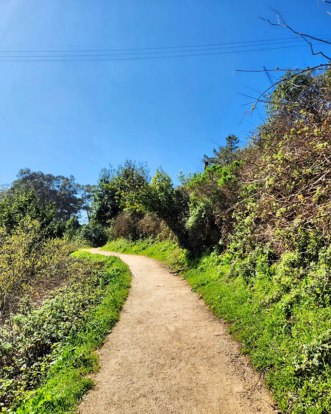 The trail less intimidating. This gentle path proves that not all breathtaking views require breathtaking hikes to reach them.