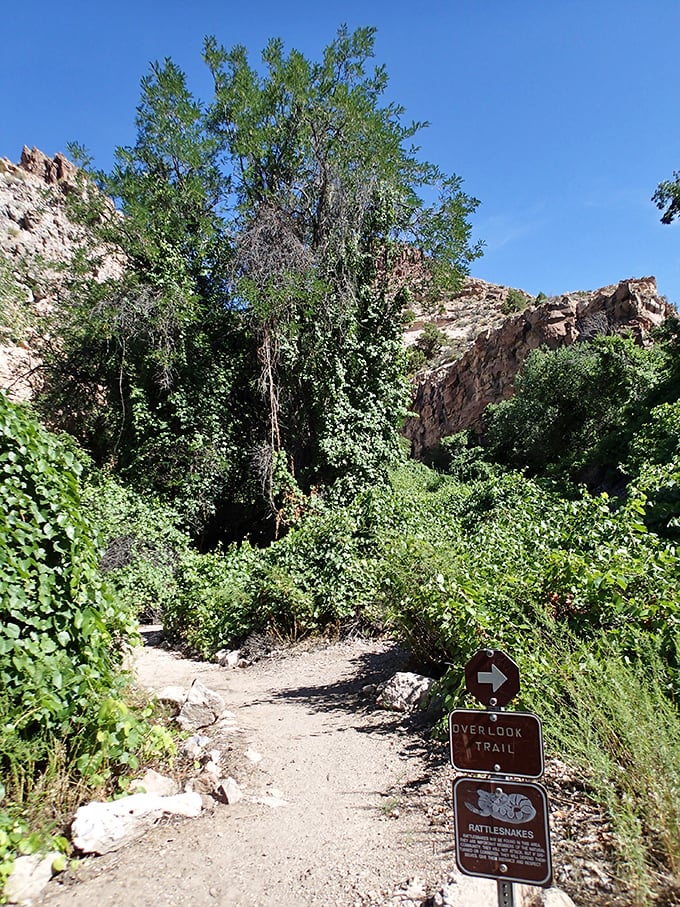 The trail beckons adventure seekers with a warning about rattlesnakes. Nature's way of saying "come play, but remember whose house this is."