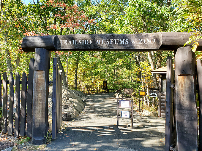 Gateway to wild encounters of the educational kind. The Trailside Museums and Zoo offers close-ups with local wildlife who couldn't make it in the wild.