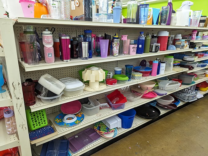 Travel mugs and tumblers in every color imaginable. Someone's corporate swag becomes your morning coffee's new home for less than a latte.