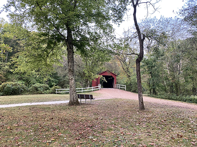 A bench invites contemplation from the perfect vantage point, because some views deserve more than just a quick glance and hasty selfie.