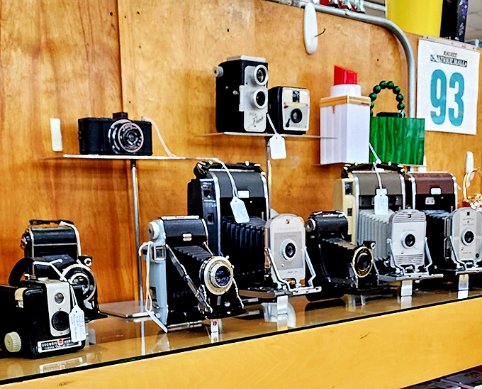 A timeline of photography in physical form. Each camera captured thousands of moments before becoming a collectible moment itself.
