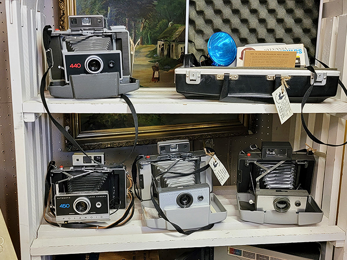 A photographer's dream—vintage Polaroids and folding cameras that captured America's memories long before Instagram filters existed. Each comes with its own mechanical symphony.