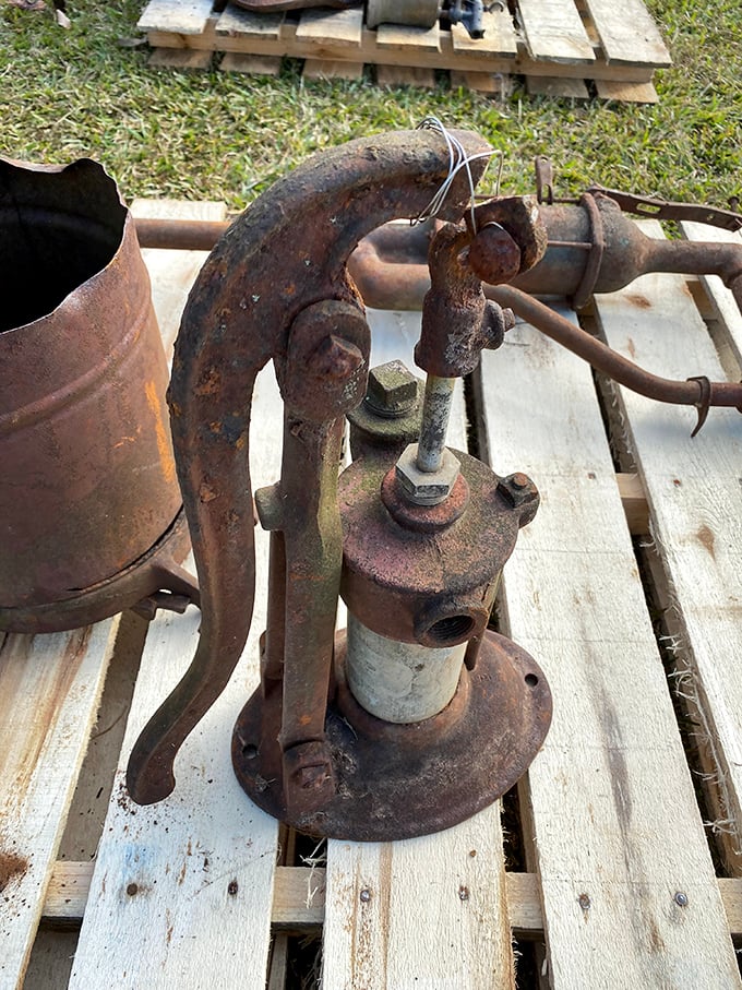Rusty gold! This antique hand pump once brought life-giving water to someone's homestead. Now it's ready to become your garden's conversation piece.