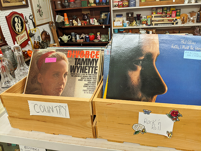 Vinyl treasures organized by genre – where Tammy Wynette's heartbreak sits comfortably next to Phil Collins' soulful gaze.