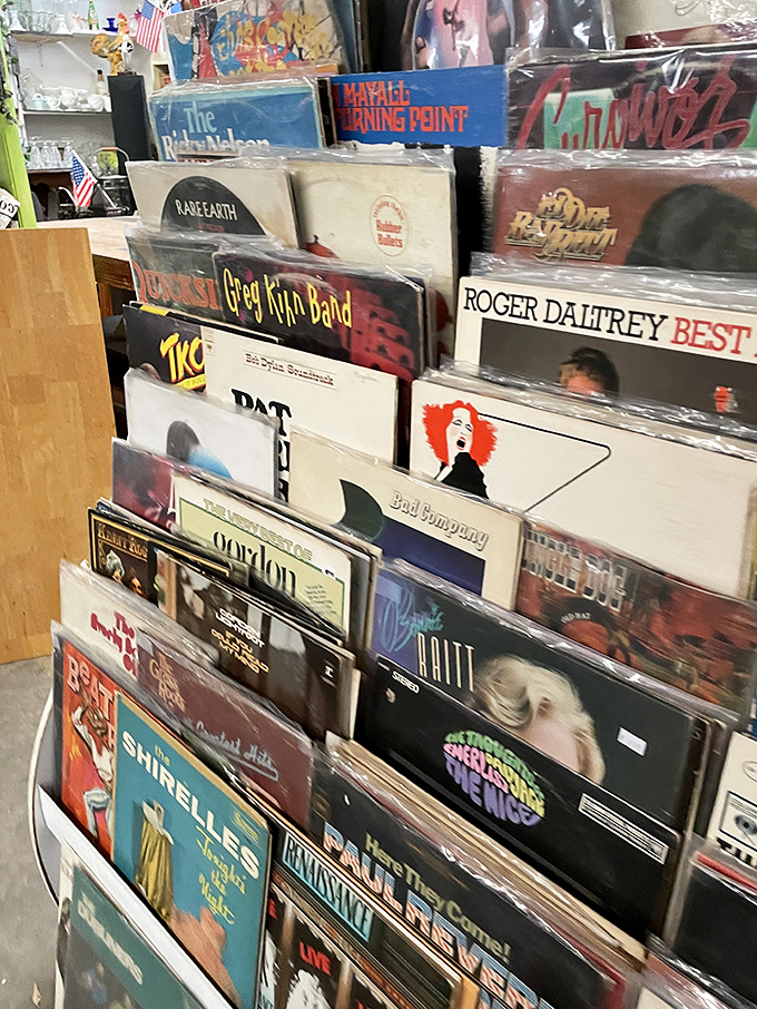 Vinyl archaeology at its finest! Dig through these treasures to find that Roger Daltrey album your collection has been missing since 1982.