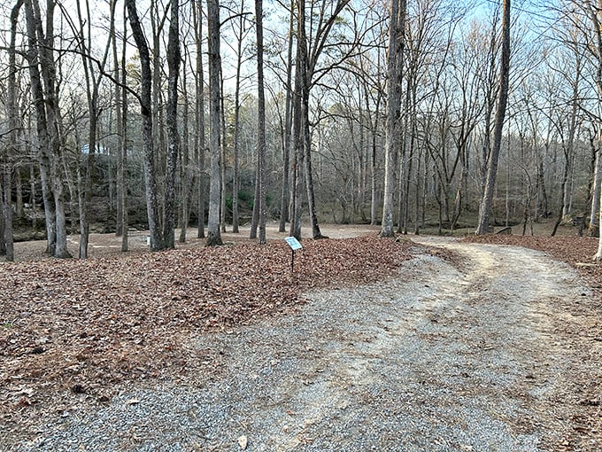 The path less traveled sometimes leads to the best discoveries, especially when it winds through Alabama's serene woodland toward historical treasures.