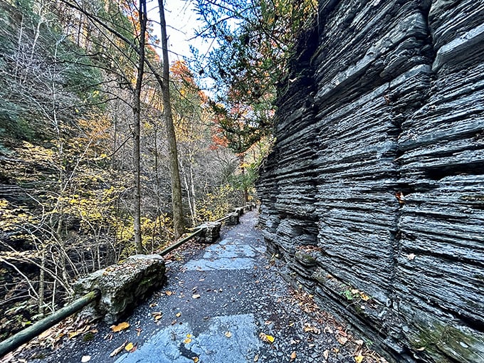 The gorge trail hugs ancient rock walls, offering hikers a journey through time itself. Each layer tells a story millions of years in the making.