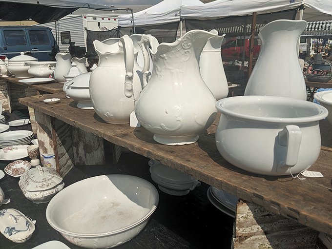 White ironstone pitchers stand in formation like a porcelain army, their simple elegance having outlasted countless design trends.