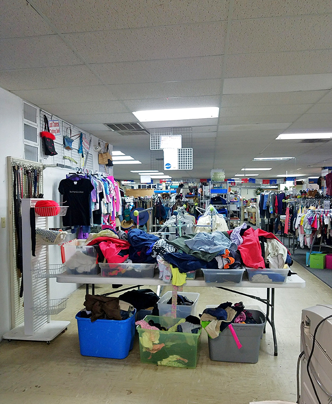 Organized chaos at its finest&mdash;where today's "just browsing" can quickly transform into tomorrow's "look what I scored for next to nothing!"