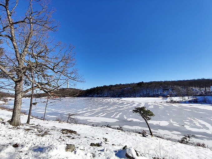 Winter transforms Lake Marcia into a snow-globe scene. The frozen expanse becomes nature's canvas for wind-drawn patterns across the ice.