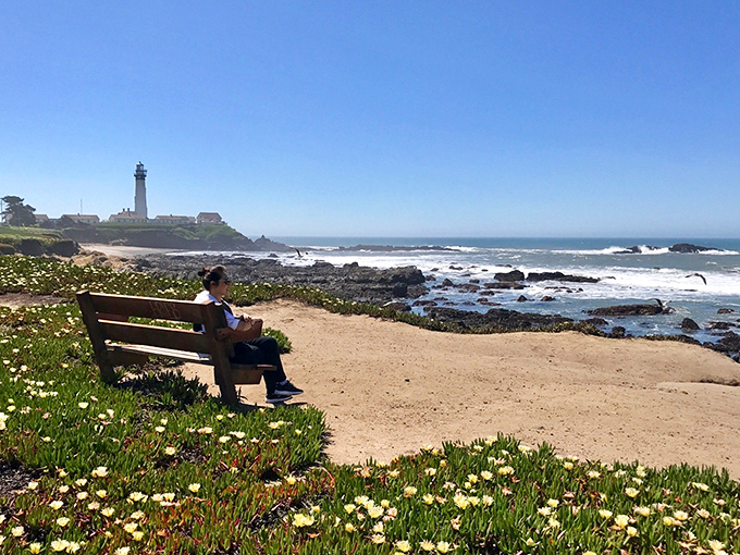 This bench has heard more "wows" than a fireworks display, and rightfully so.