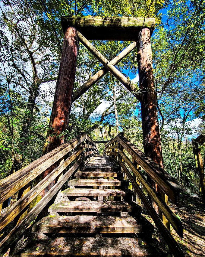 This wooden stairway bridge isn't just functional &ndash; it's an invitation to discover what waits on the other side.