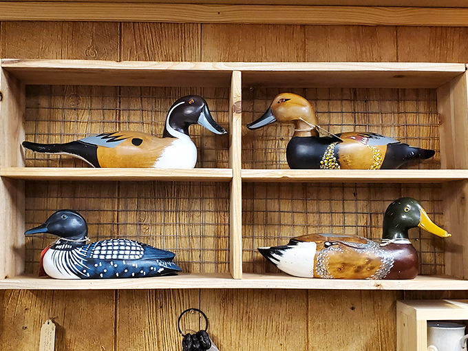 Wooden duck decoys that have graduated from hunting tools to folk art, displayed with the respect they deserve.