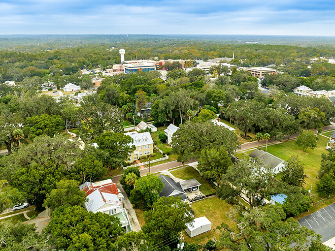 The town spreads out beneath a canopy of ancient oaks, hiding its treasures like a shy Southern belle.