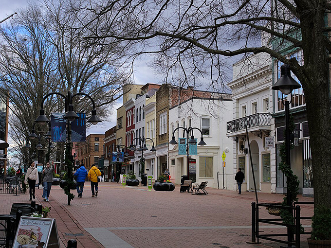 Charlottesville's pedestrian mall creates the perfect stage for community life and casual encounters.