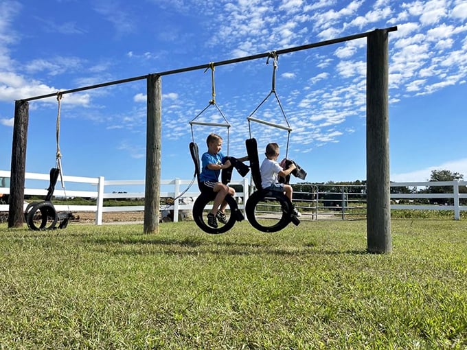 Strawberry fields prove this farm knows how to grow delicious things beyond just apples &ndash; variety is delicious.