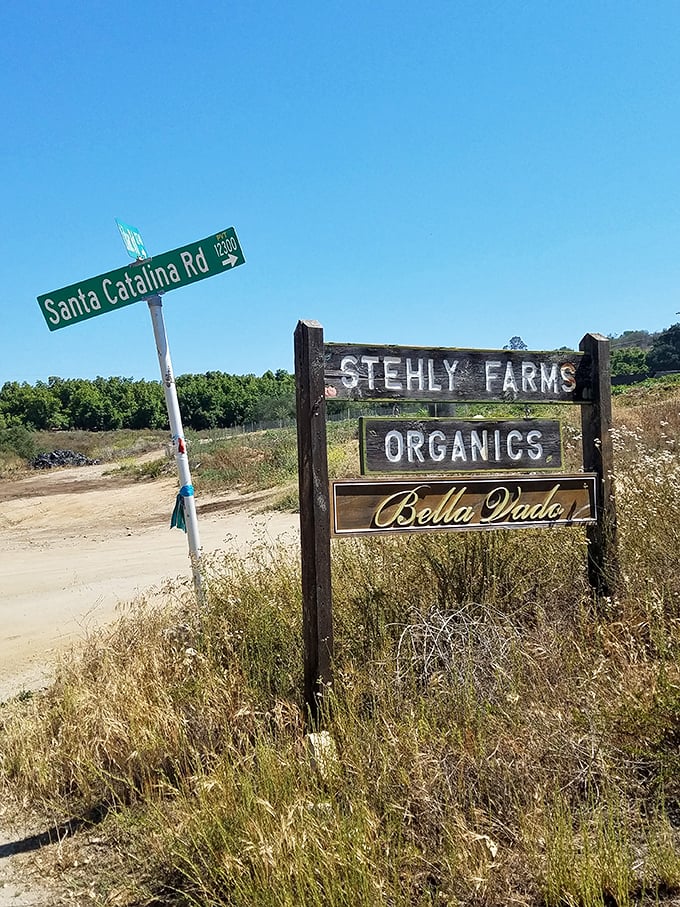 Follow the wooden sign to berry bliss! Stehly Farms' rustic marker points the way to organic strawberry heaven.