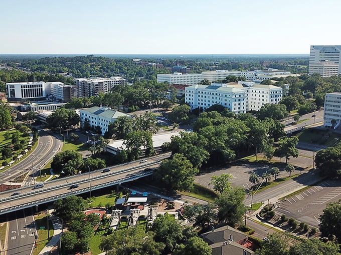 Tallahassee's rolling hills and canopy roads offer scenic retirement living. The capital city delivers big amenities with small-town prices.