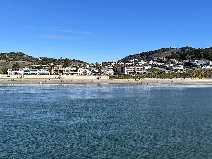 Million-dollar views come free along this stunning Orange County coastline where beauty never ends.