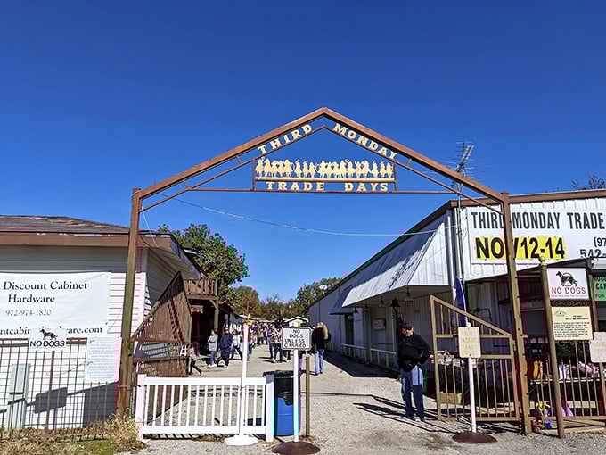 A market day under brilliant blue Texas skies. The perfect backdrop for hunting treasures and sampling local treats!