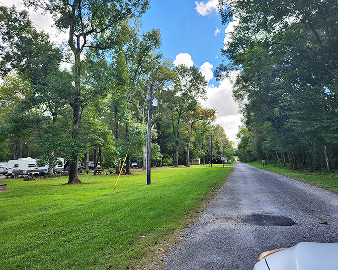 Beyond the historic district, Abbeville offers peaceful retreats where travelers can park under towering trees and experience Louisiana's natural beauty.